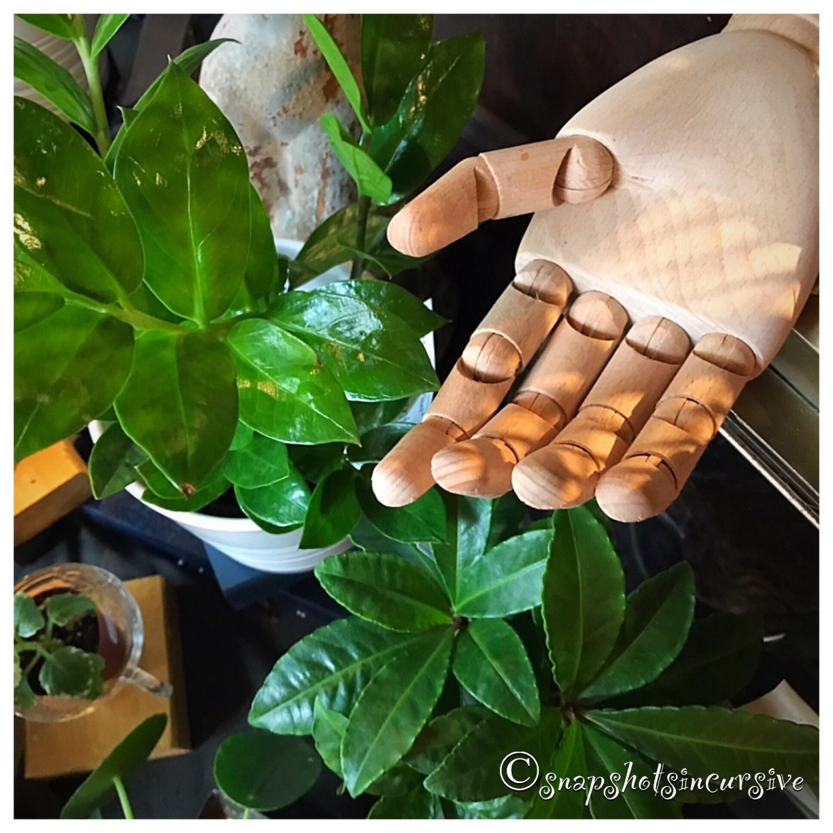 Lend a Hand | snapshotsincursive