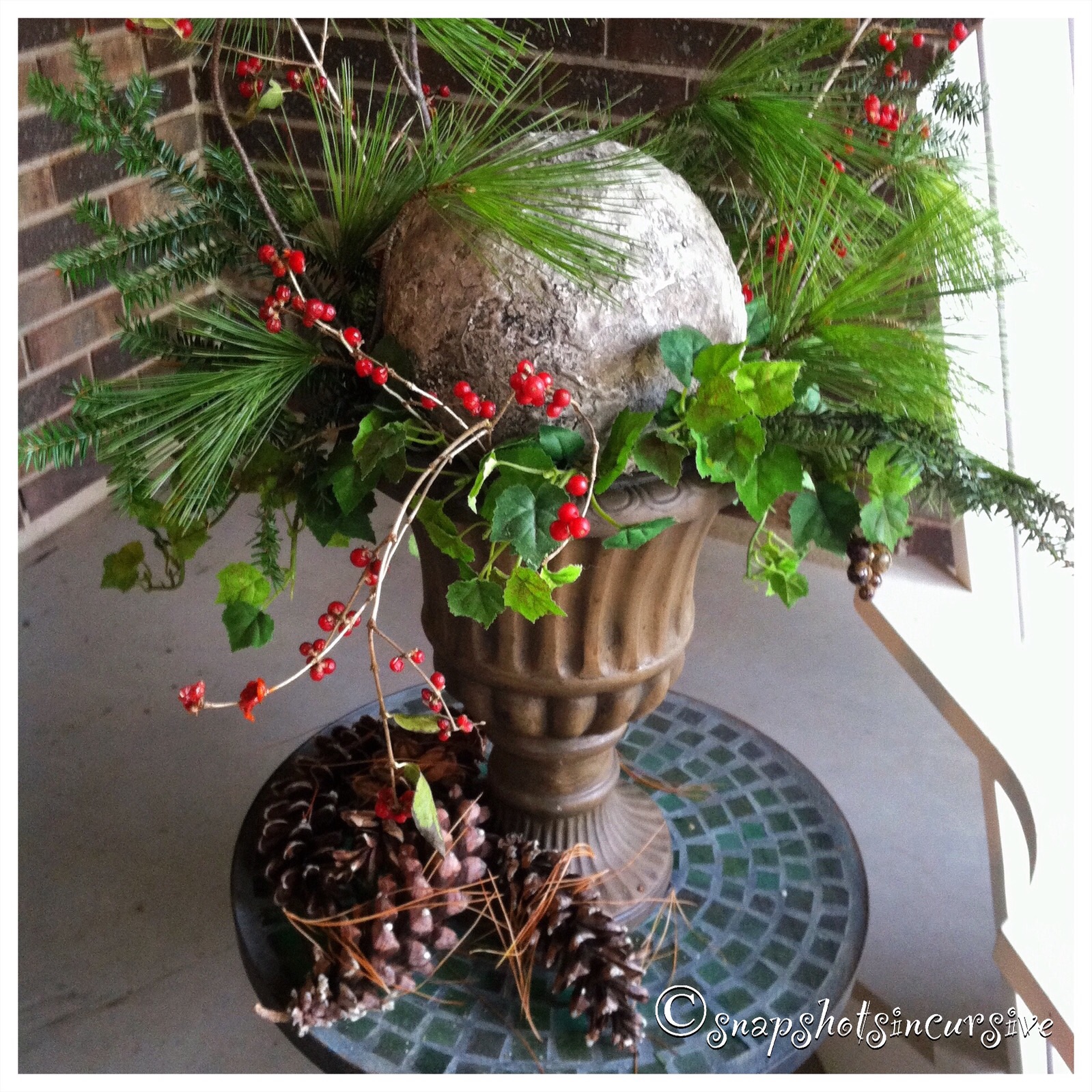 The Smell of Pine Rises | snapshotsincursive