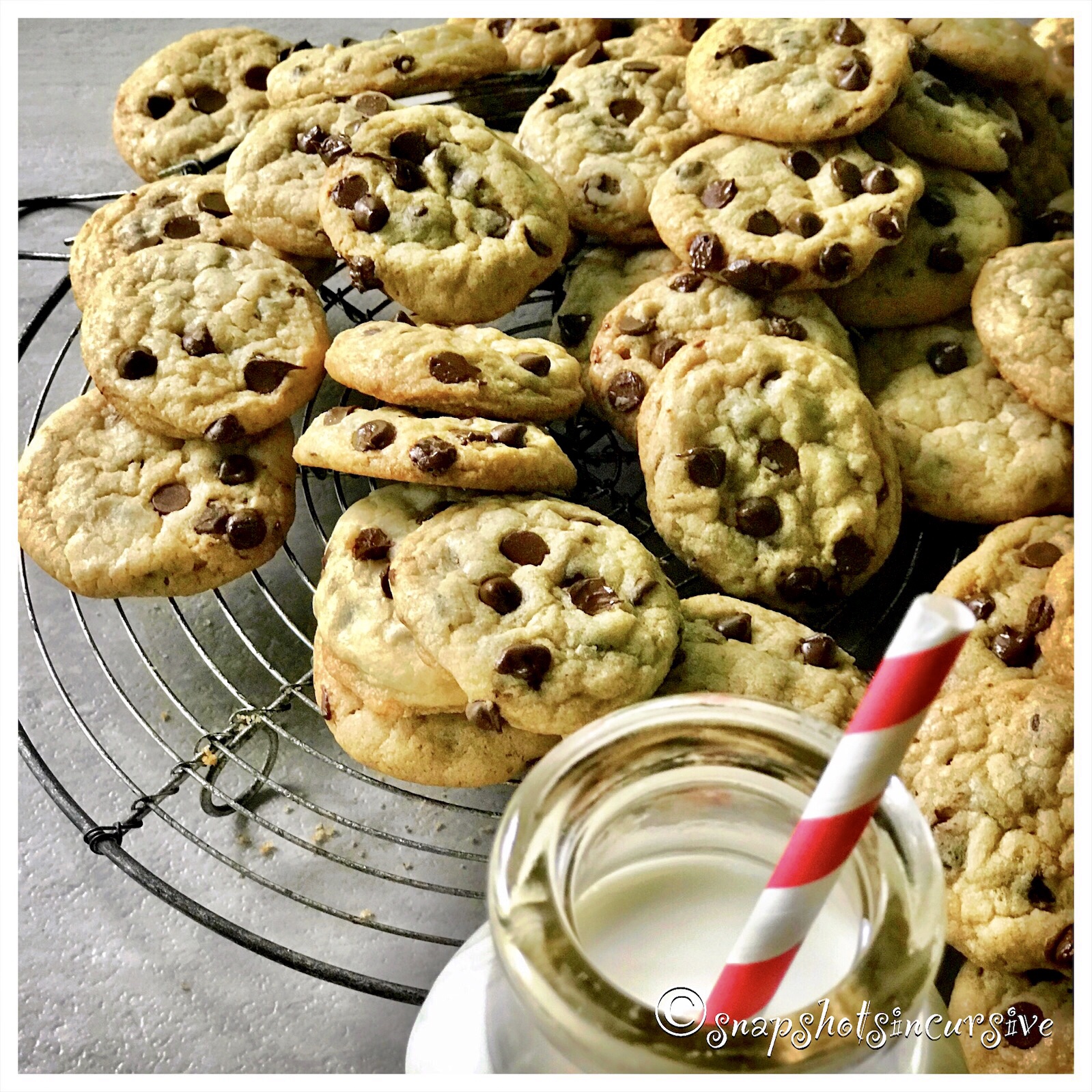 One-Bite Cookie Morsels | snapshotsincursive