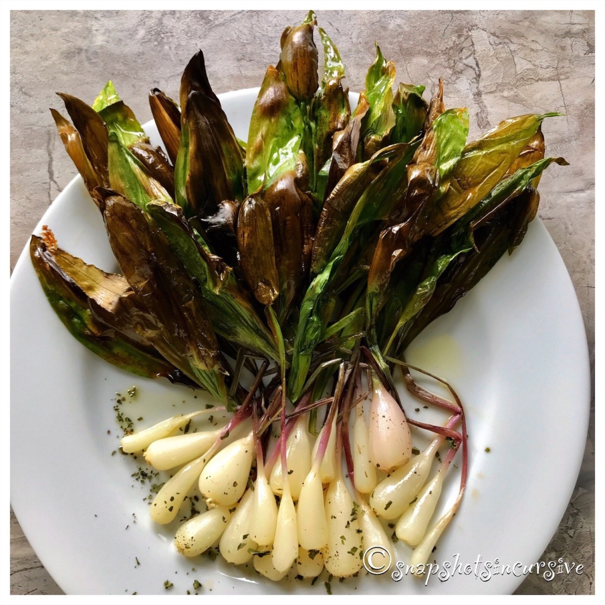 Wild Ramps Charbroiled | snapshotsincursive