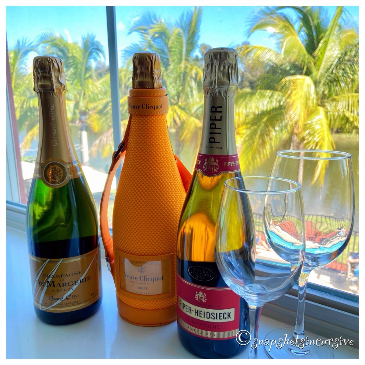 Party in Paradise | snapshotsincursive