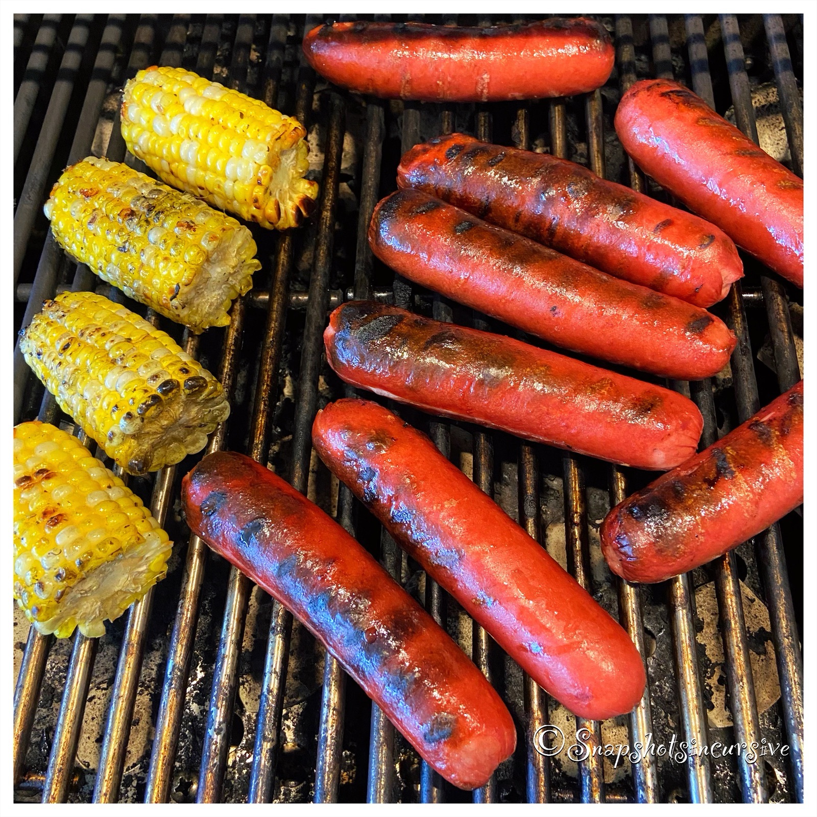 Wagyu Gourmet Hot Dogs | snapshotsincursive